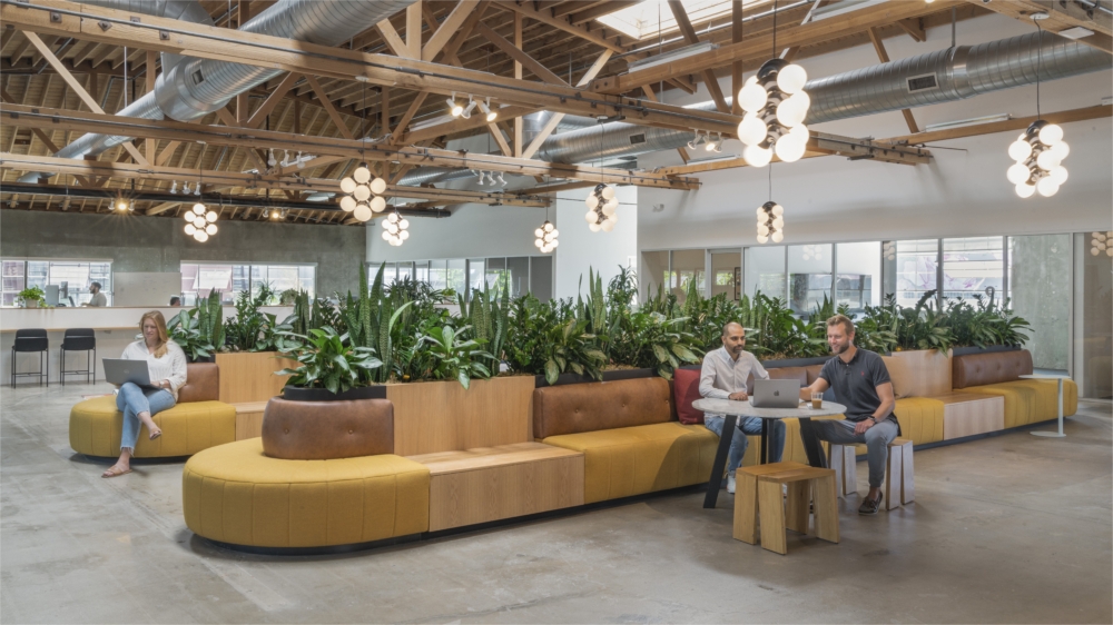 ChowNow Careers in Restaurant Tech